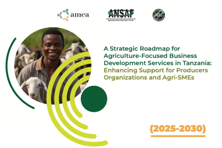 Tanzania Roadmap - AMEA